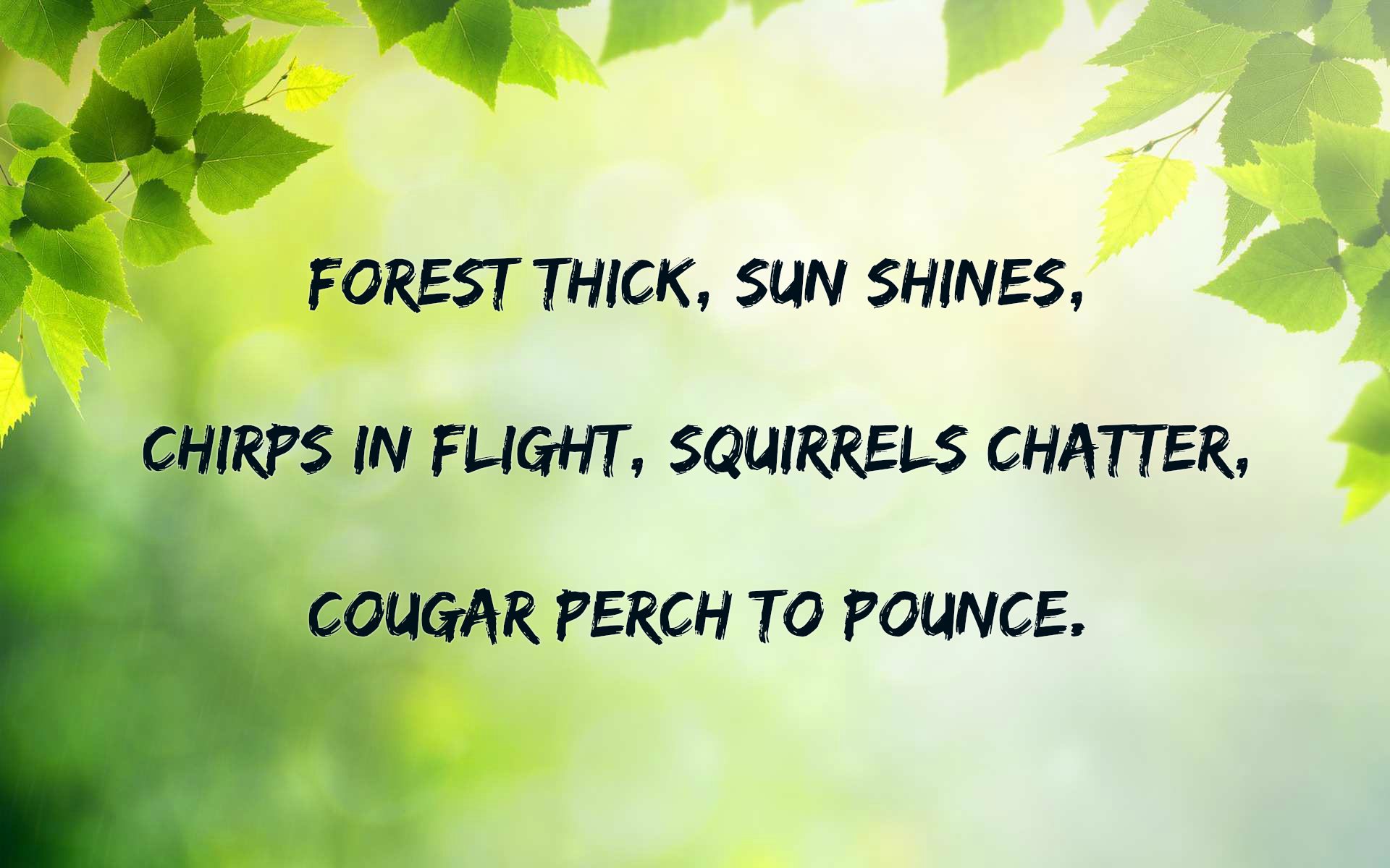 Haiku Examples