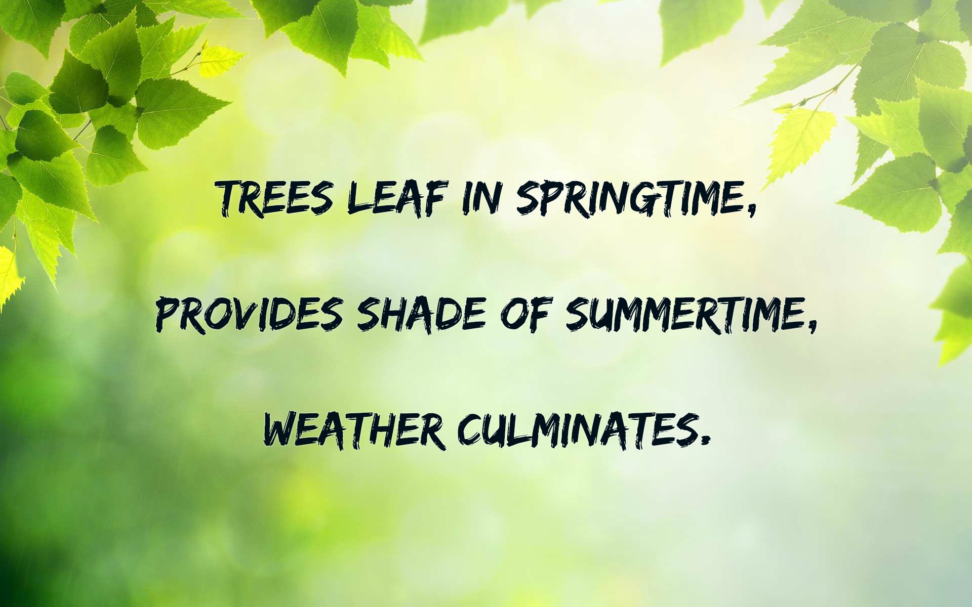Haiku Lesson 1 Teacher Kyla s Education Blog
